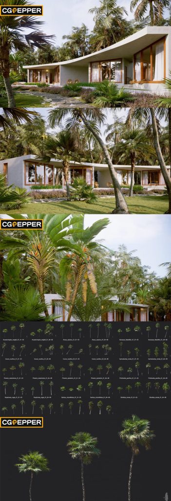 棕榈树椰子树高精度3D模型-Plant Models Vol 97 – CGPepper-专注优质三维资源