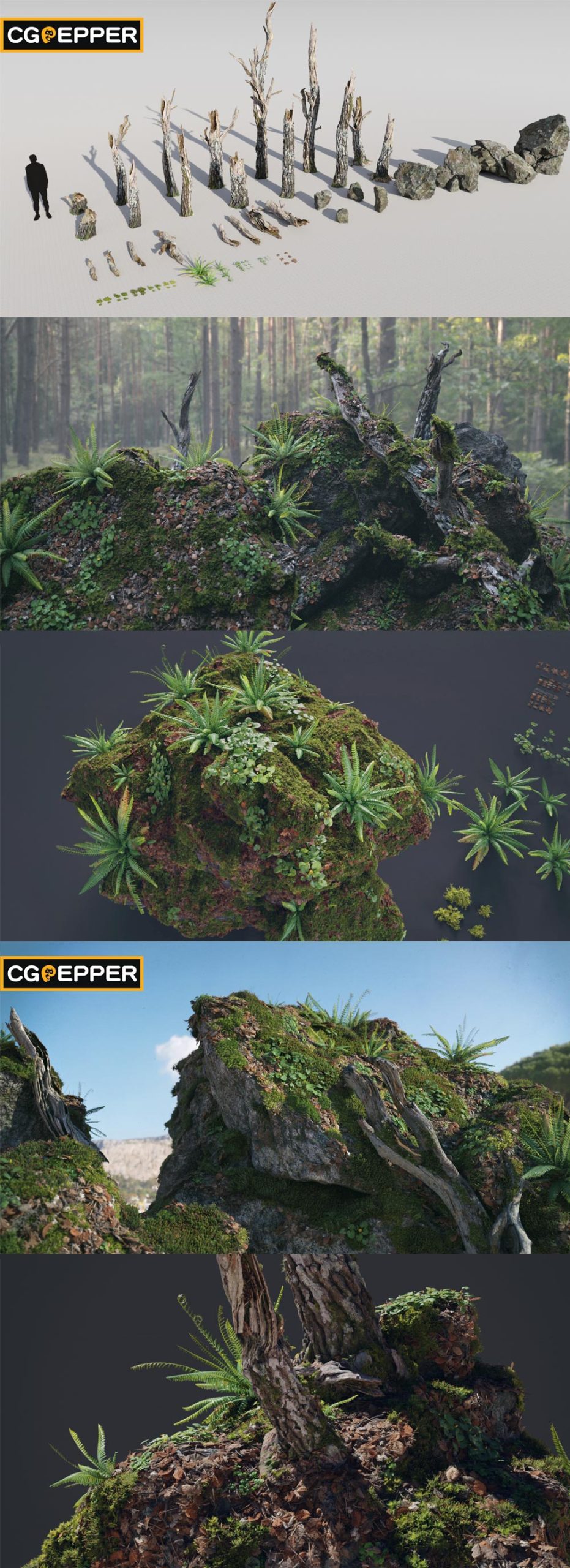 树干苔藓石头模型预设 Moss Biome Ground Scatter – 3D AssetKit PBR (Blender/FBX/OBJ ...