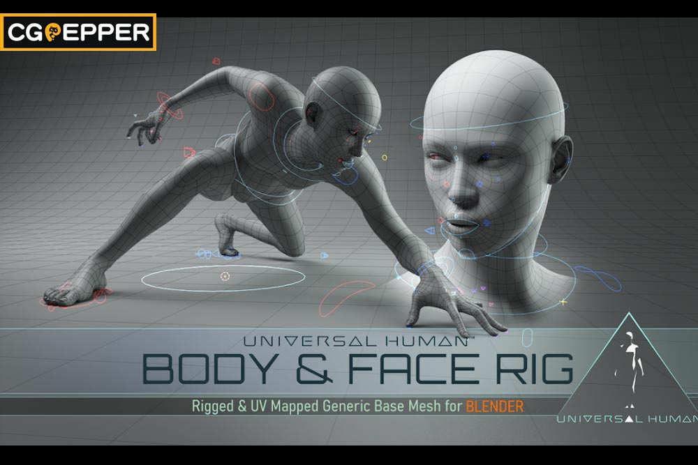 blender 完整的绑定基础人体网格-Universal Human Body & Face Rig by Chris Jones ...