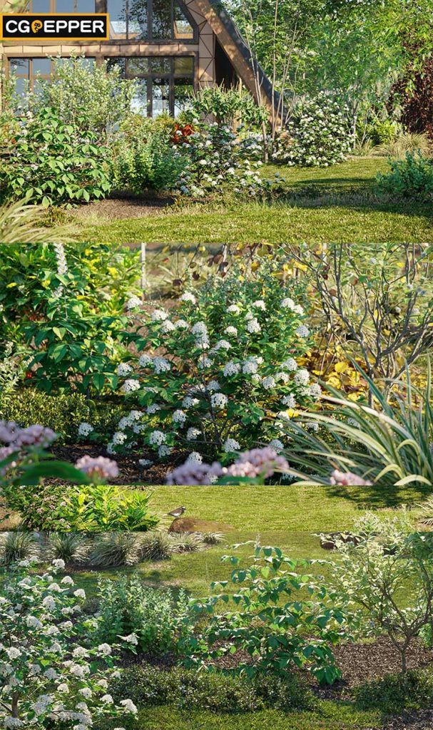 北美家庭园艺植物3D模型Globe Plants – Bundle 29 – North American Home & Garden ...