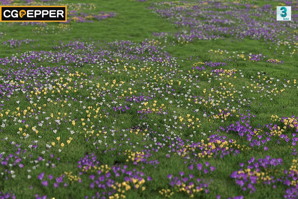 UE5 – CGPepper-专注优质三维资源