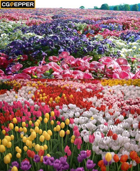 3DS MAX花园花卉模型库花朵植物3D模型 Vizpark – Real Flowers – CGPepper-专注优质三维资源