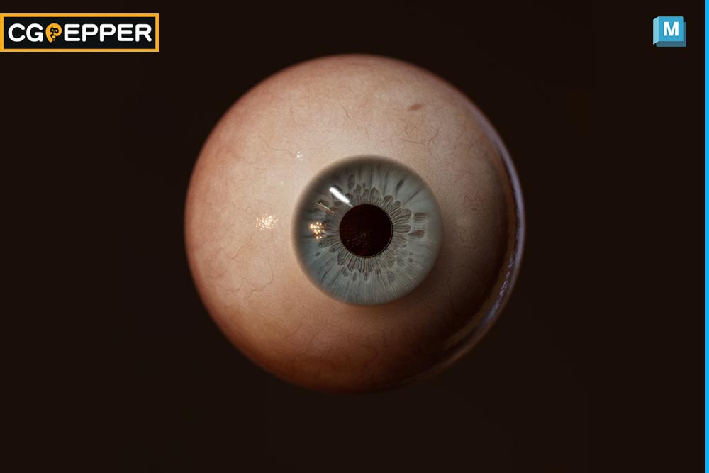 UE5 – CGPepper-专注优质三维资源